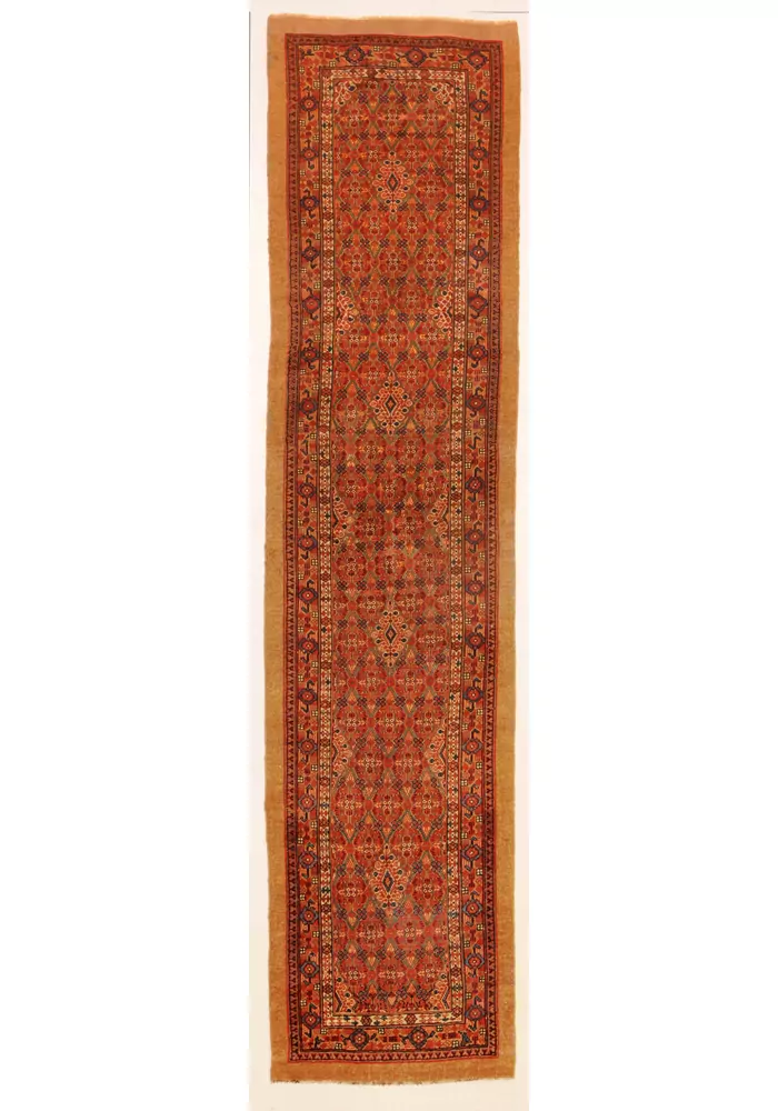 Sarab 3' x 12'10" | Catalina Rug