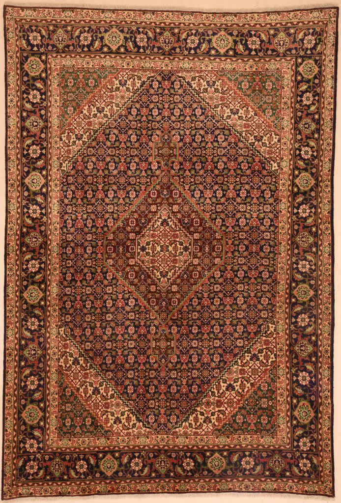 6'7" x 9'10" Tabriz Authentic Persian Rug | Catalina Rug
