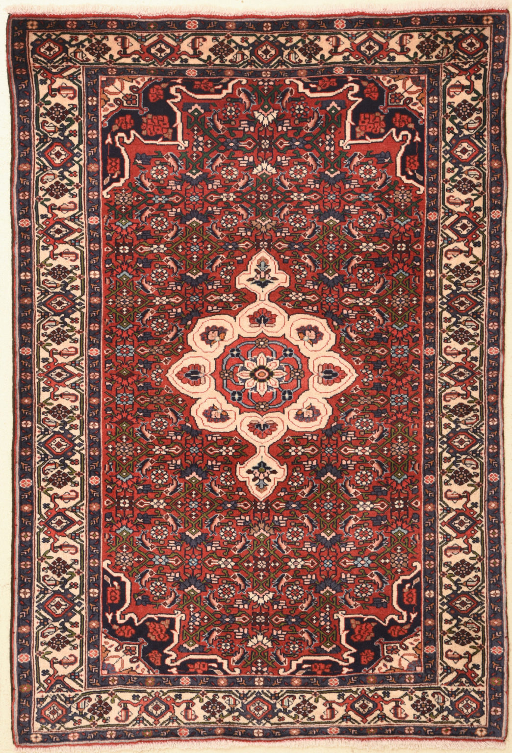 Bijar Rugs | Catalina Rug