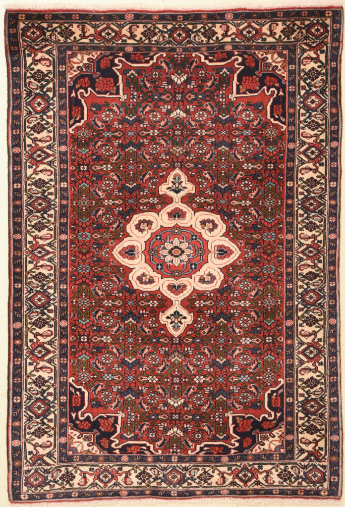 Bijar Rugs | Catalina Rug