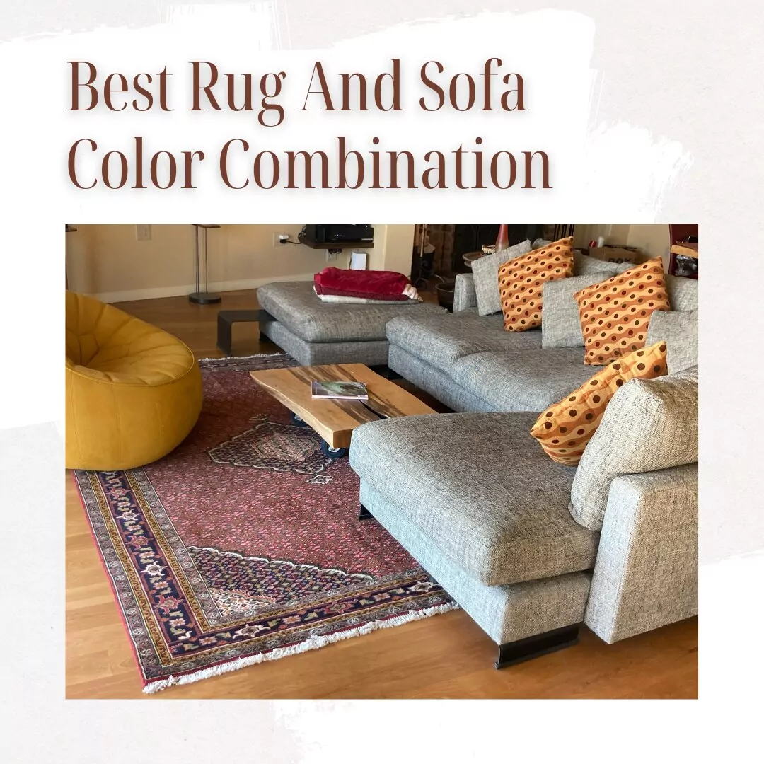 Best Rug And Sofa Color Combination | Catalina Rug